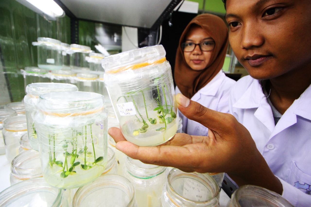 Laboratory - Departemen Biologi