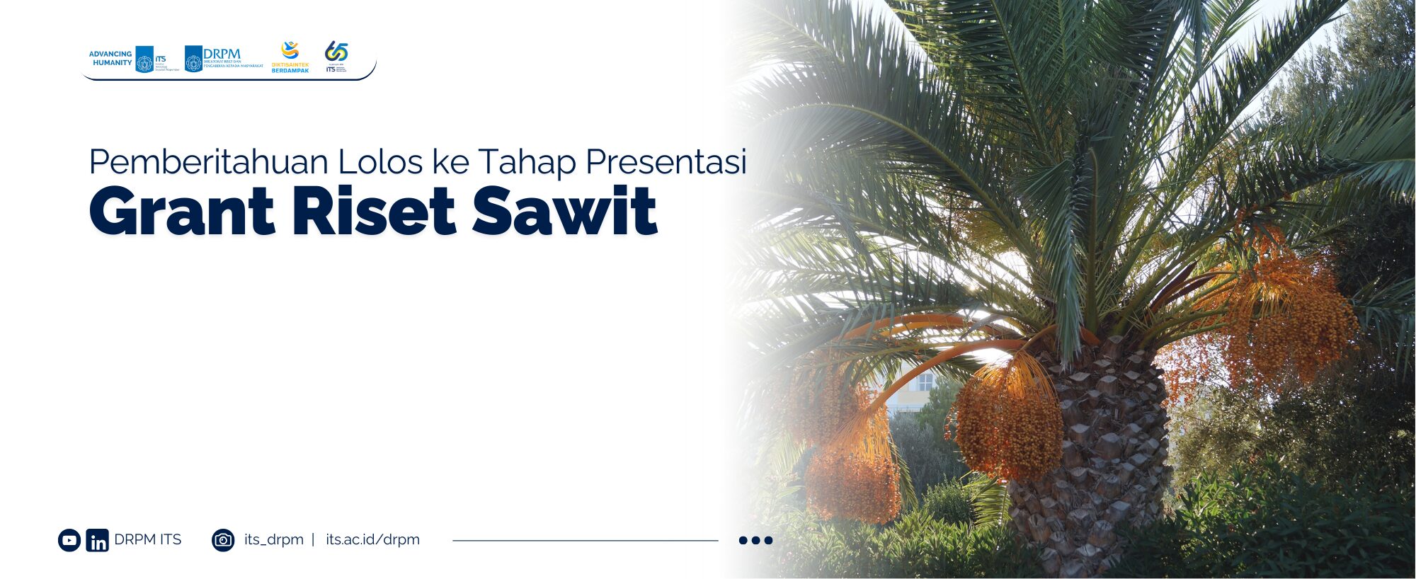 Pengumuman Lolos ke Tahap Presentasi Grant Riset Sawit 2025 - Direktorat Riset dan Pengabdian ...