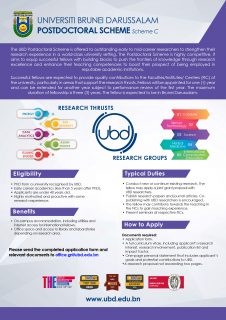 UBD Postdoctoral Scheme (Scheme C) - ITS Global Engagement