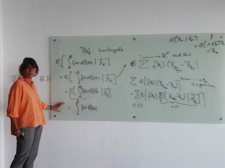 Guest Lecture Stochastic Differential Equations Sdes Stochastic Partial Differential