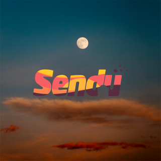 SENDU - Business Management