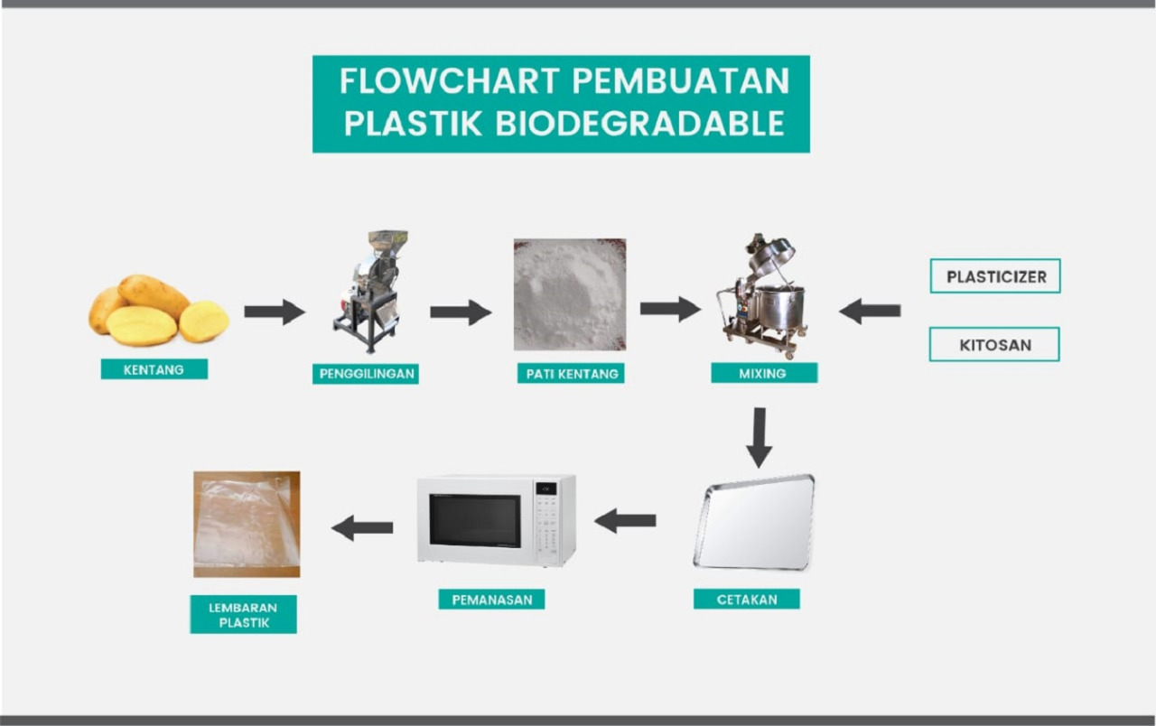 Flowchart pembuatan plastik biodegradable berbahan dasar kentang ...