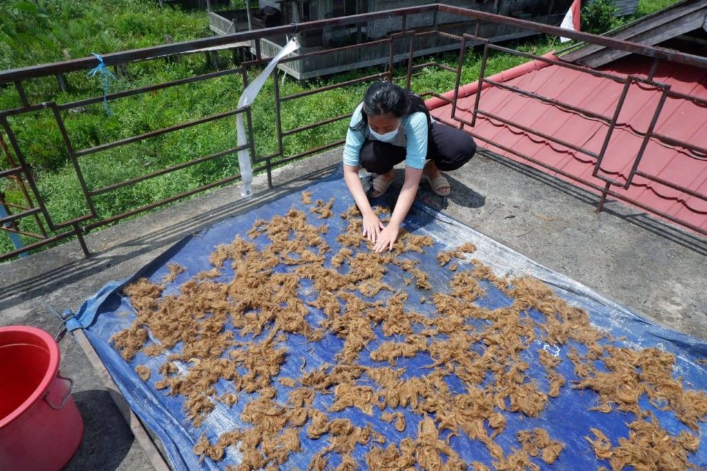Mahasiswi ITS Bantu Tingkatkan Kualitas Air dengan Limbah Sabut Pinang ...