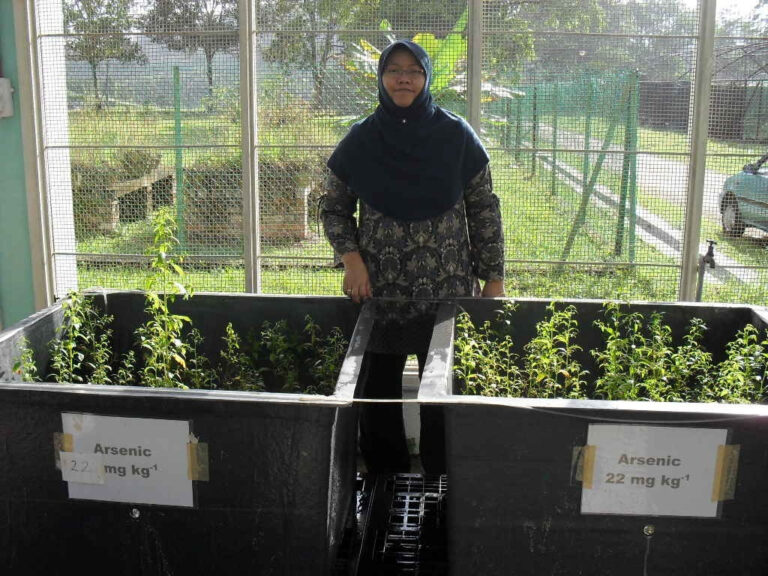 Pulihkan Lingkungan, Profesor ITS Gagas Teknologi Bioremediasi dan ...