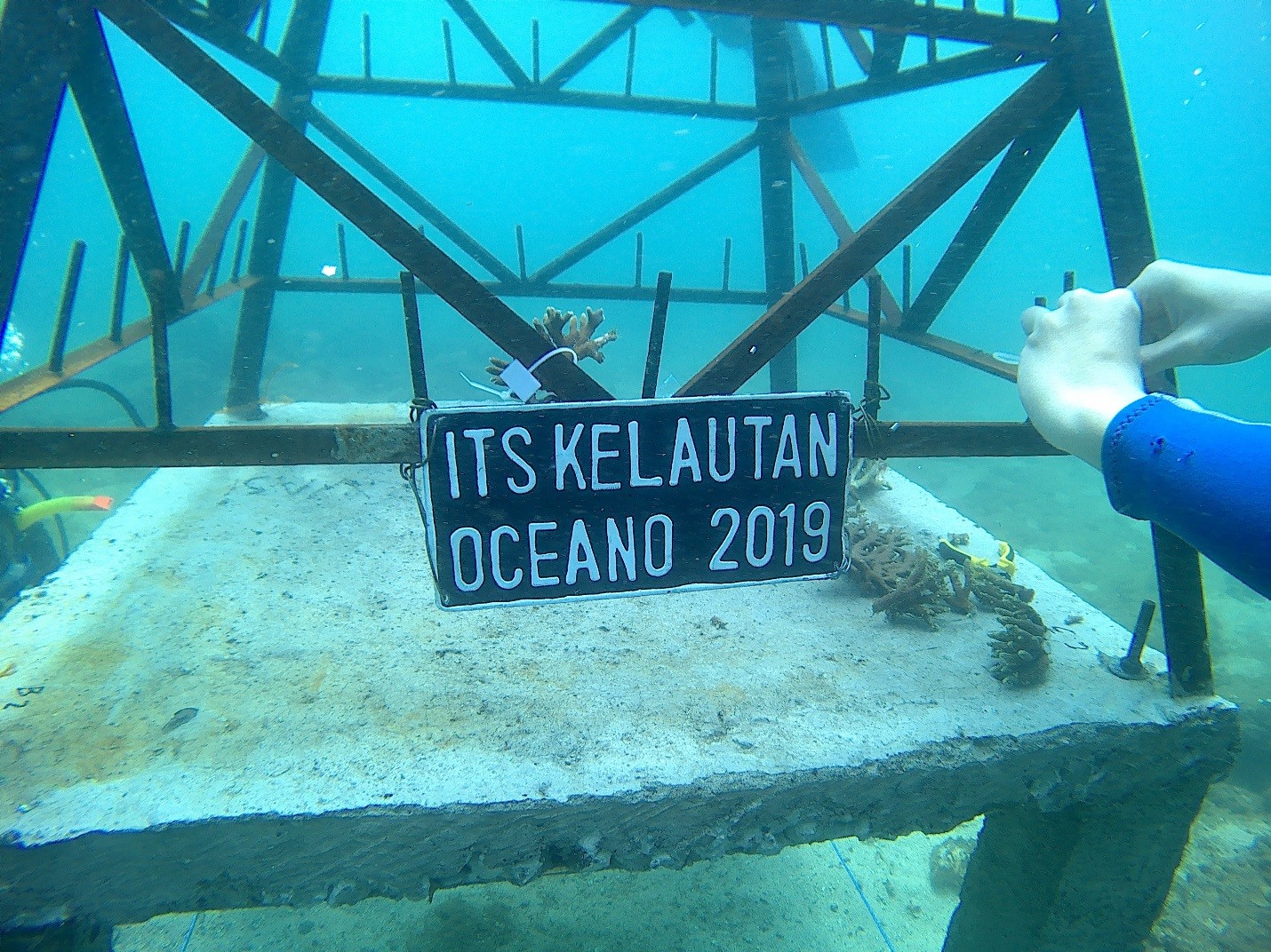 Kepedulian HIMATEKLA-DTK melalui Social Development – OCEANO 2019 ...